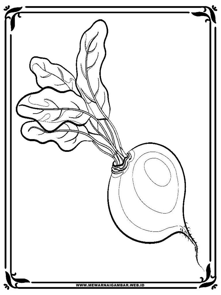 Mewarnai Gambar Lobak | Mewarnai Gambar