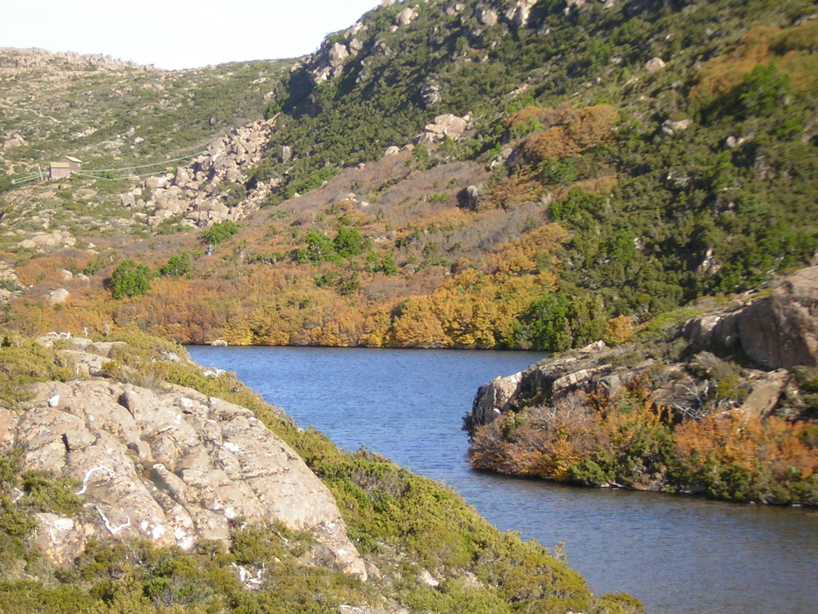 Peter Kreet Art: Tasmania Mt.Field's Tarn shelf.