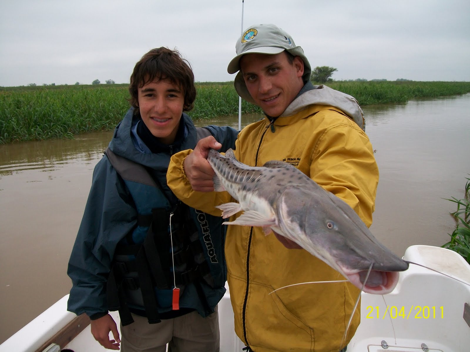 Pesca deportiva en San Nicolas con Matias Jalil: SURUBI DE 3 KILOS ...
