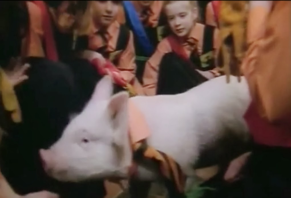 Holiday Film Reviews: The Worst Witch