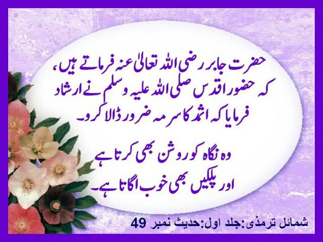 August 2013 ~ Hadith Urdu, Islamic Quotes, Hadees With Reference