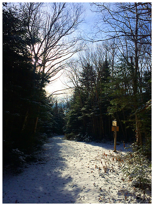 Hiking in the White Mountains: Livermore Pass and the Old Town of ...
