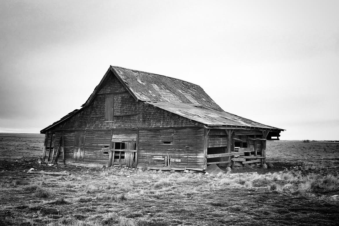 West of the 5th : Barns! Barns! Barns!