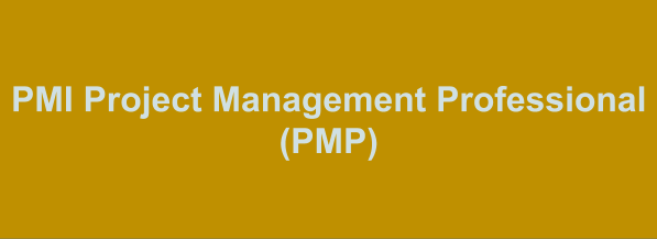 PMI Project Management Professional (PMP) | Process News