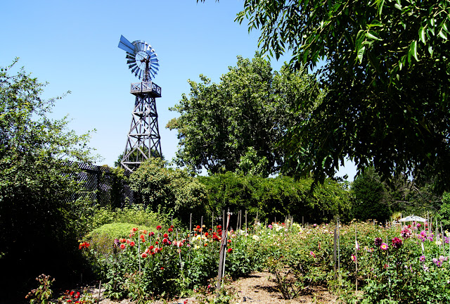 NixPages: RIPPONLEA ESTATE, MELBOURNE