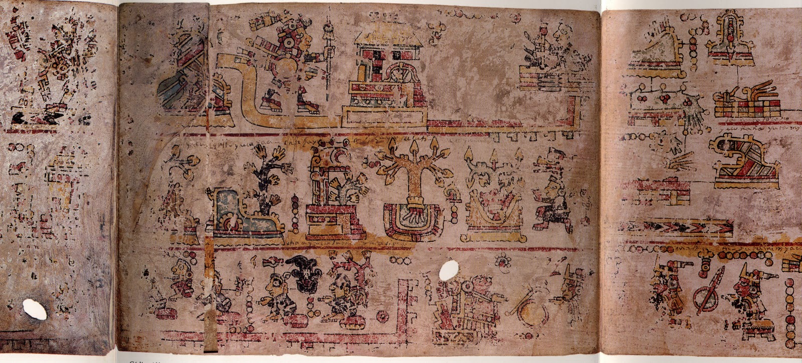 Seminario de Cultura Mixteca: Códice Colombino