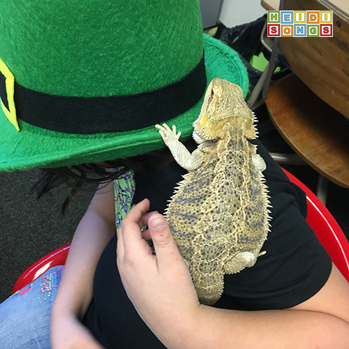 A Bearded Dragon Class Pet!