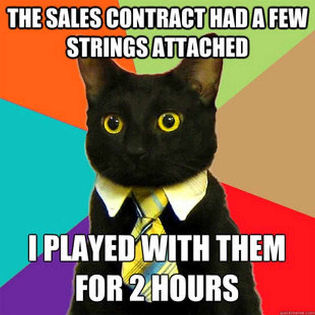 Chuck's Fun Page 2: The Business Cat meme (24 pics)