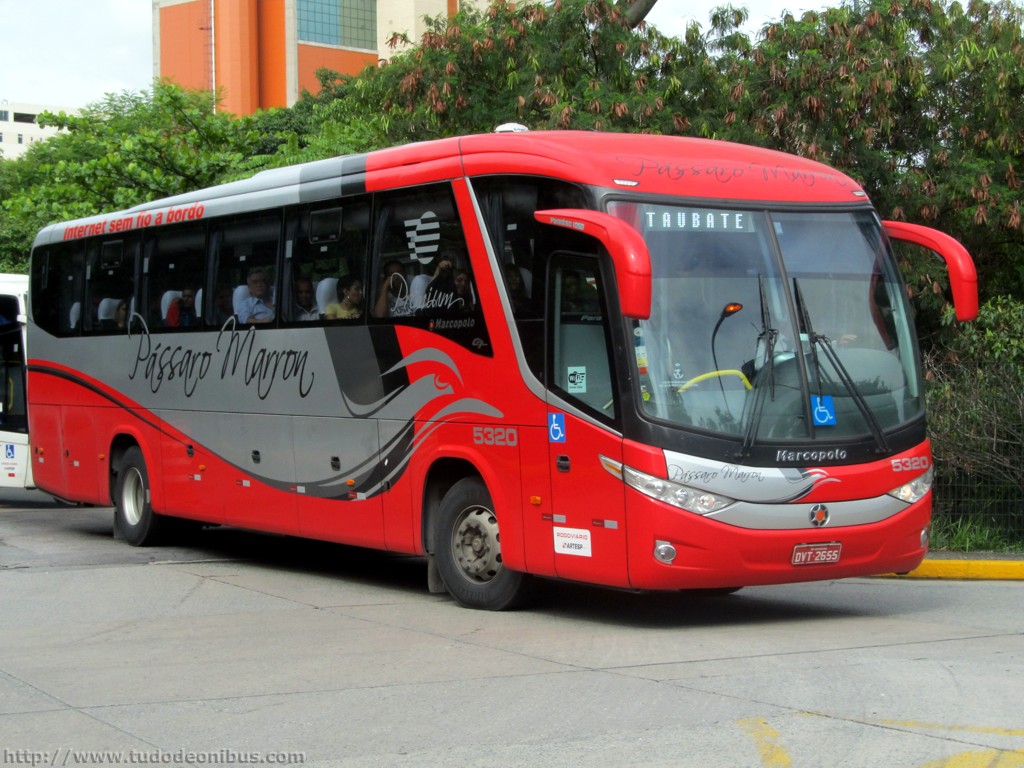 Tudo de Ônibus: Paradiso 1050 - Pássaro Marron