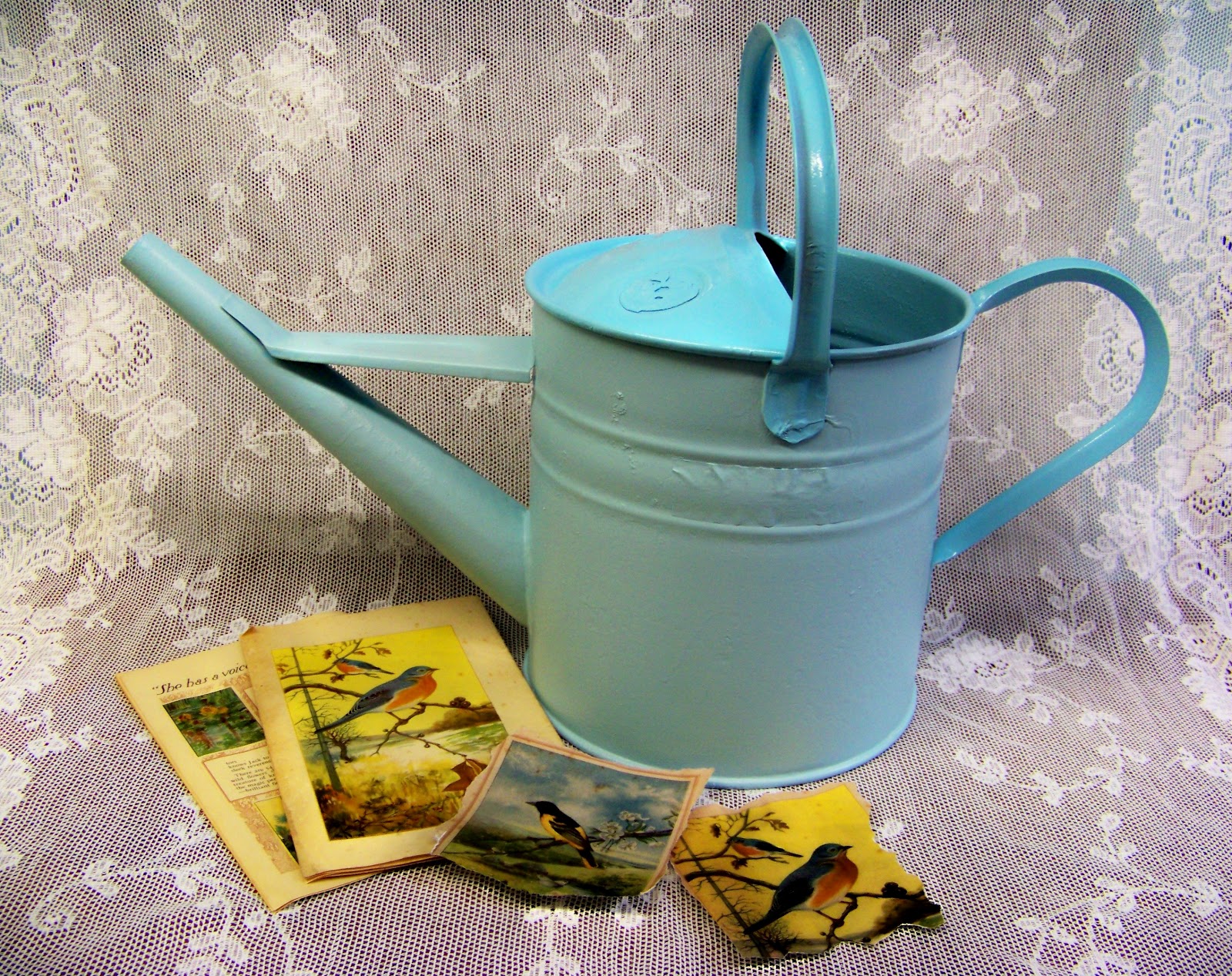 Shabby For Sure: Birdie Watering Can