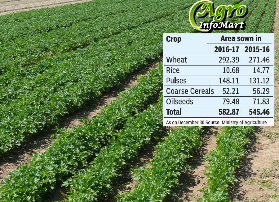 Agro Infomart: list of kharif and rabi crops agriculture in india