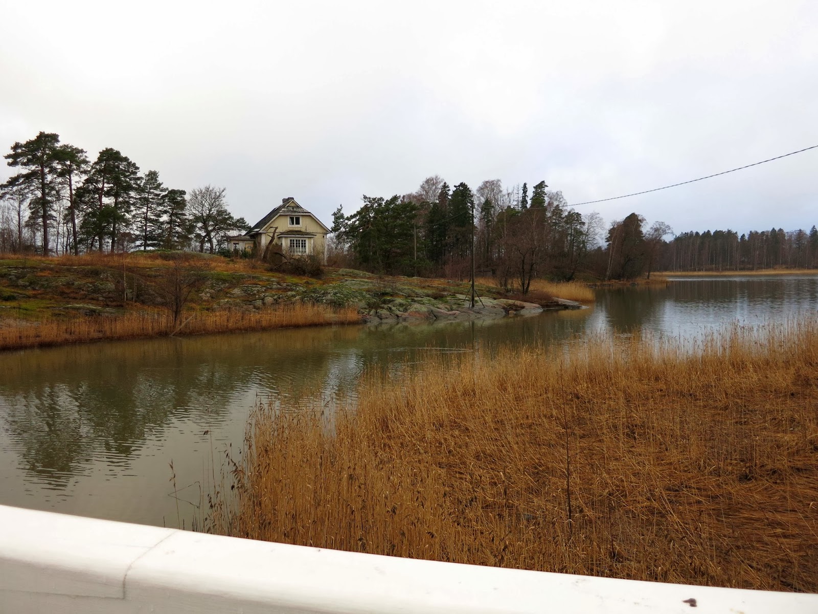 Söta drömmar: Fölisön en regnig vinterdag