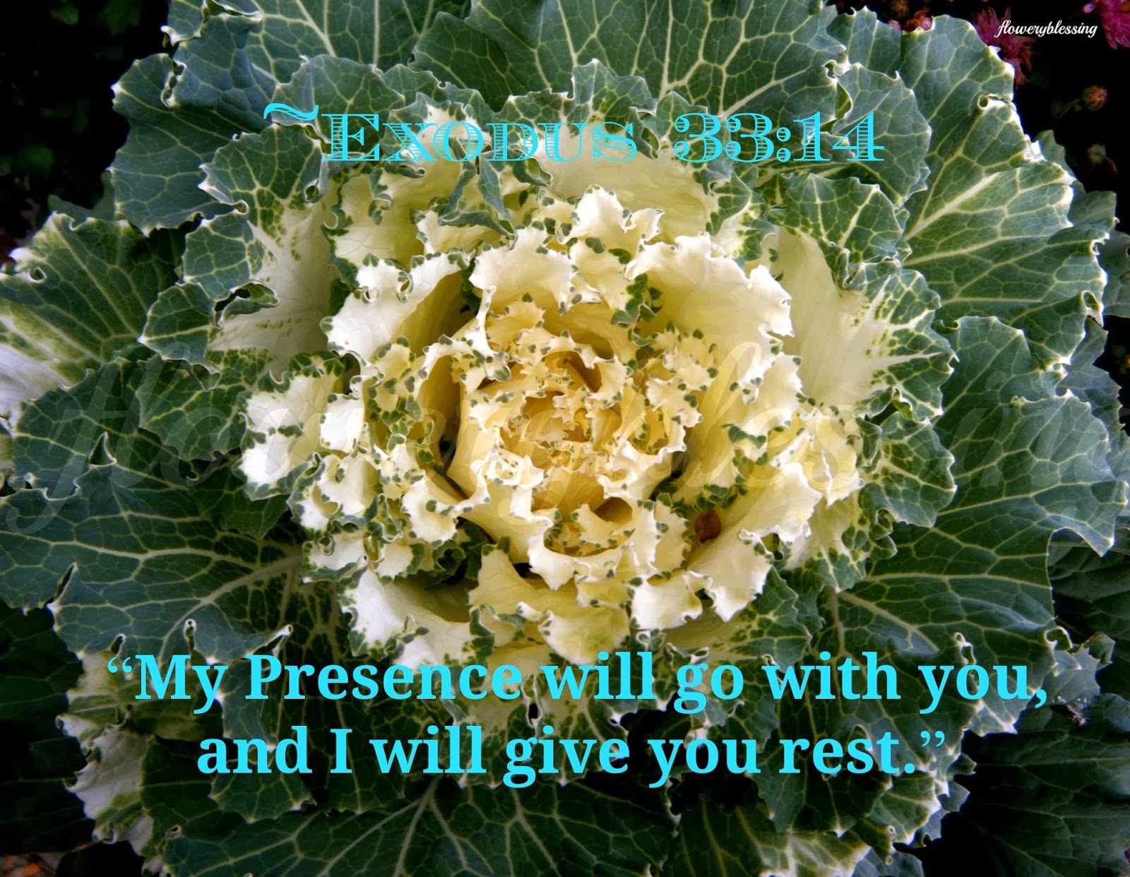 Flowery Blessing: And He said, “My Presence will go with you, and I ...