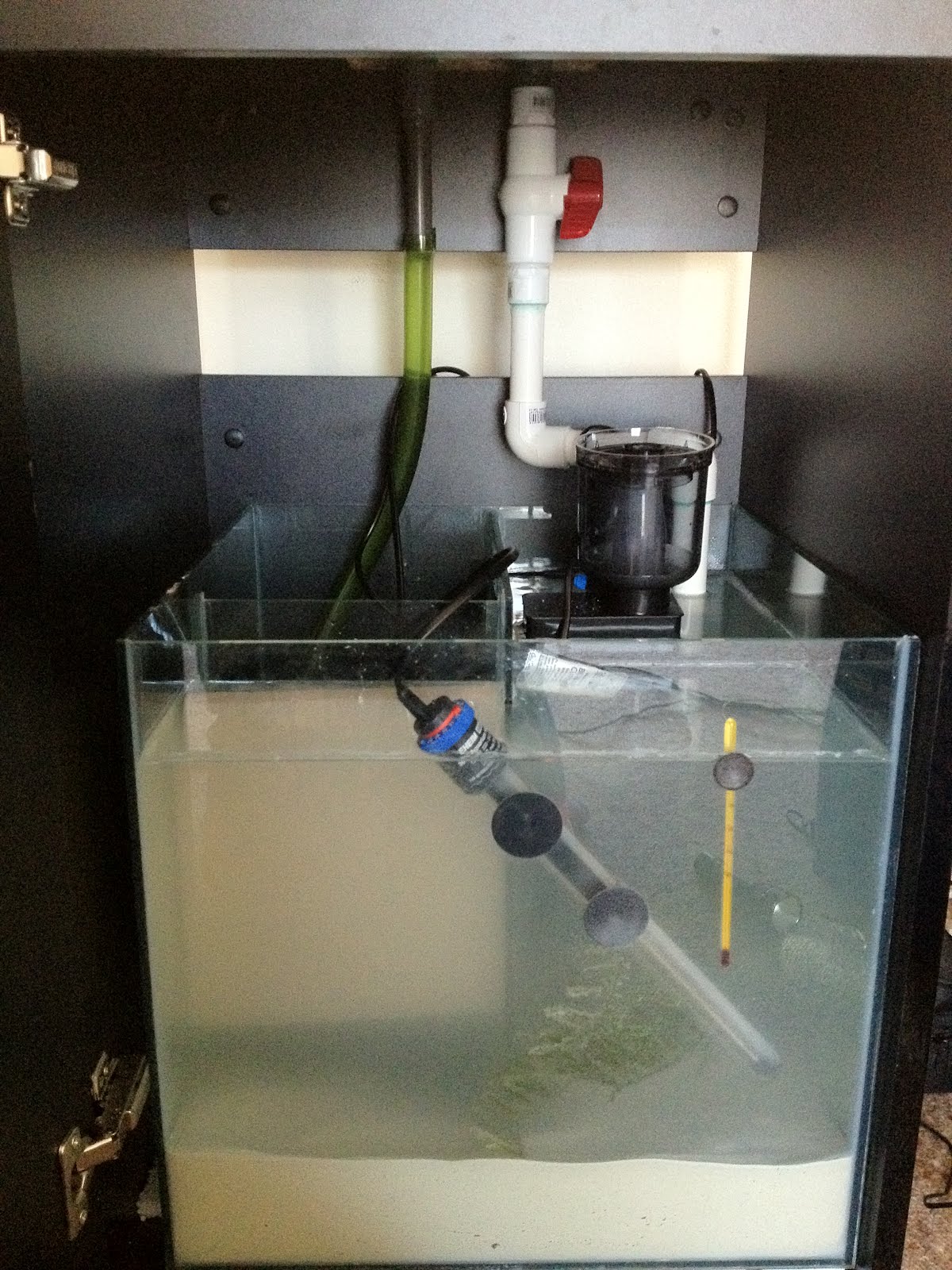 Emboli's Aquariums: [MARINE TANK] Custom made sump
