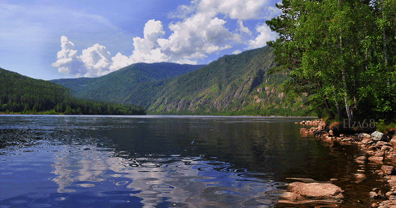 Animated Pictures Collection: Nature Animation