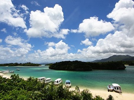 Clima, Piante e Paesaggi del Giappone | Il Gusto Della Natura