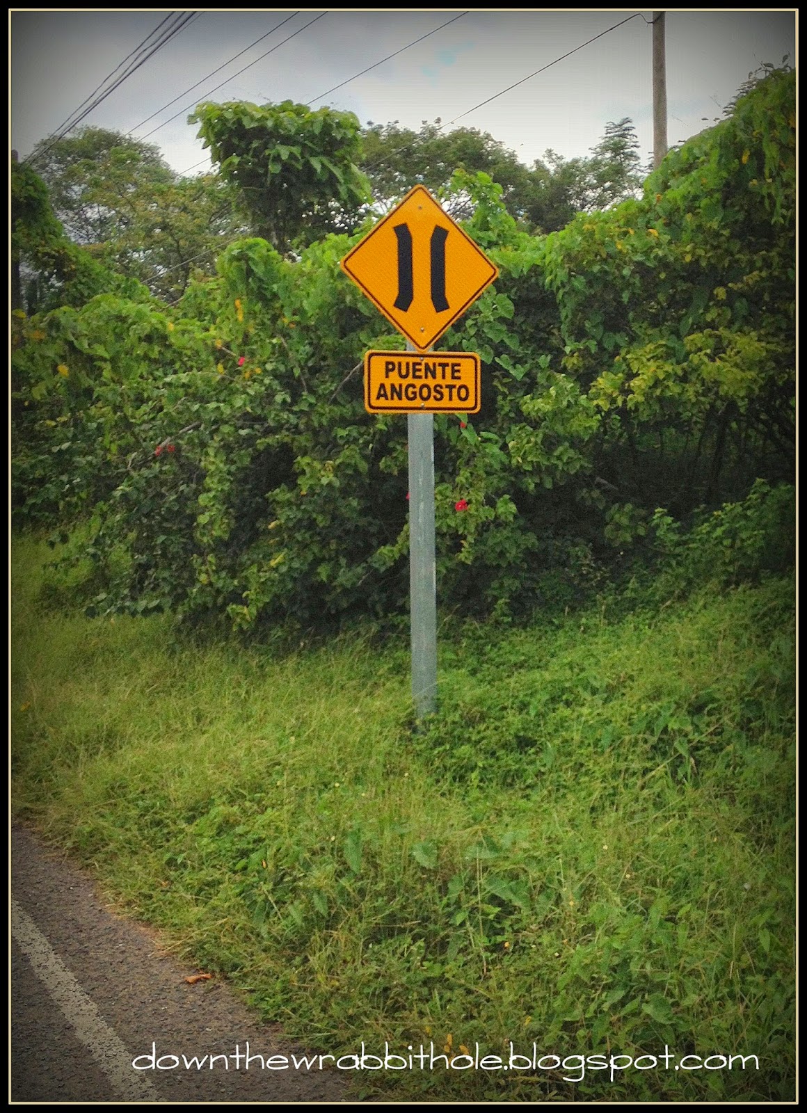 Down the Wrabbit Hole - The Travel Bucket List: What to Expect on a ...