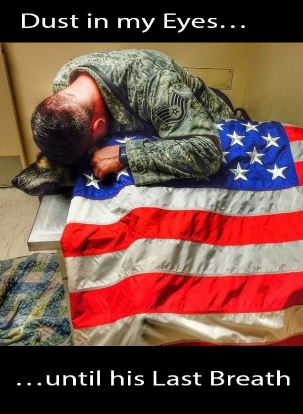 Service dog memes always bring out the smiles (40 Pics ...