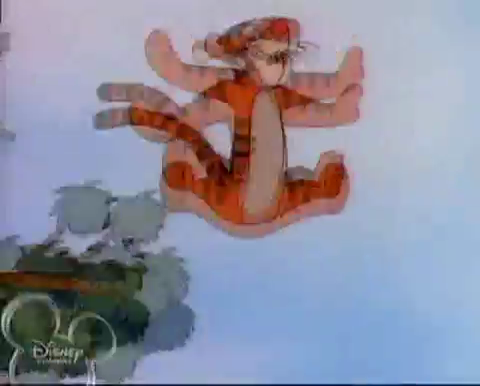 The New Adventures of Winnie The Pooh: Tigger's Shoes