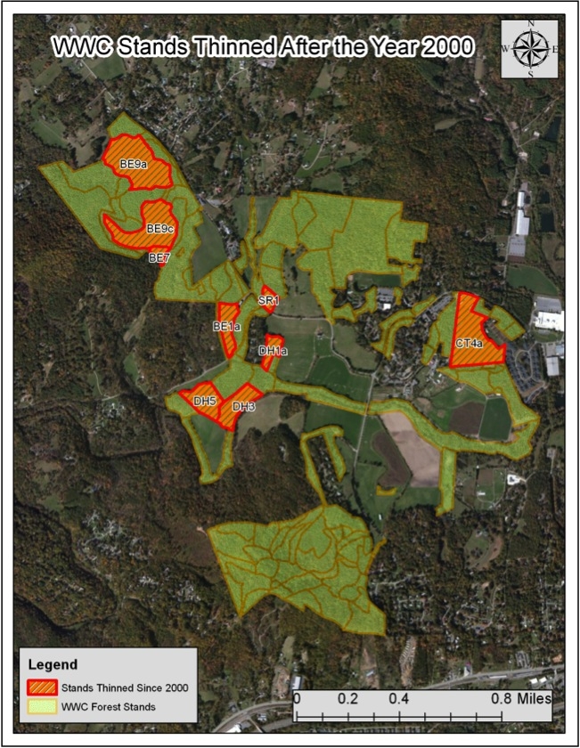 Warren Wilson College Forestry Program: Warren Wilson College Forest ...