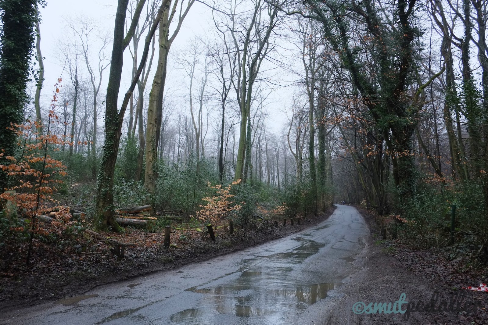 The Smut Pedaller: Surrey Hills and Winterfold Forest
