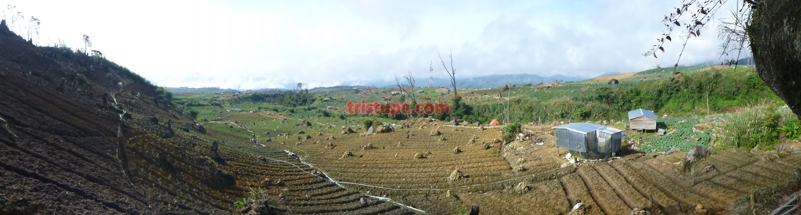 Sabah Adventure Challenge 2013 : Scenic Day 3 ~ TRISTUPE.COM