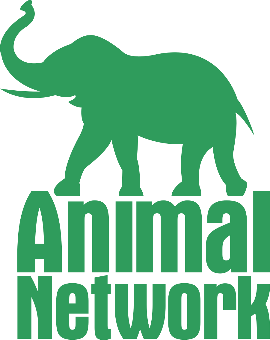 SLN! Media Group: Animal Planet, AiT, Donkey, Schelle-Price, Horsebro ...
