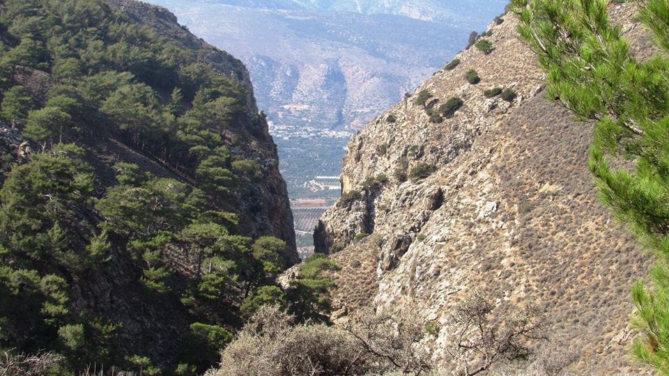 EXPLORE MOUNTAINS: ΠΕΖΟΠΟΡΙΑ ΣΤΟ ΔΑΣΟΣ ΤΗΣ ΘΡΥΠΤΗΣ