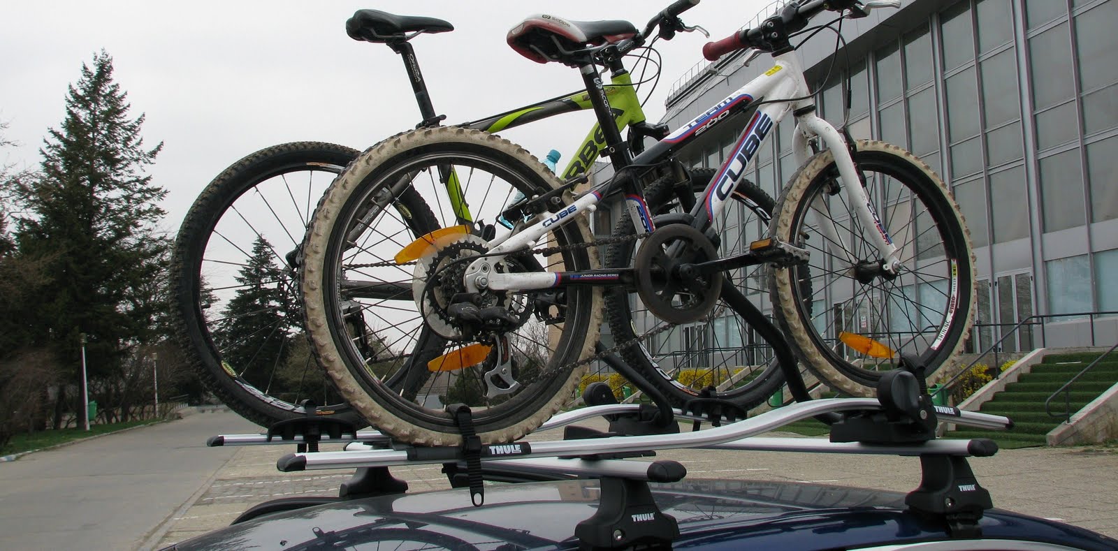 Thule Proride 591 ~ BAZILIDE