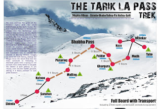 TRAVEL WITH DJ: THE TARIKHANGO PASS (Pin Bhabha) TREK - Kinnaur & Spiti