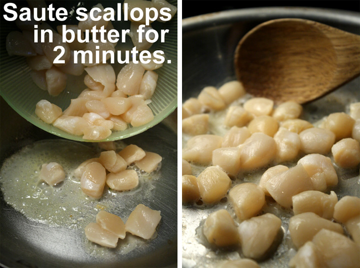 The 99 Cent Chef: Scallop Roll