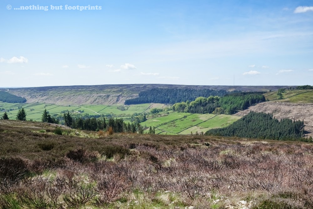 Bilsdale and Bransdale (North York Moors)