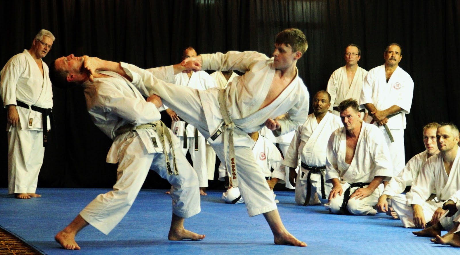 André Bertel's Karate-Do: March 2013