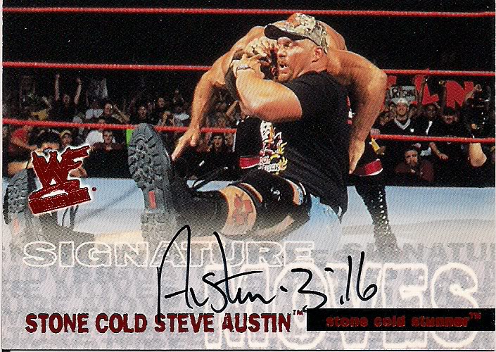 WORLD WRESTLING ENTERTAINMENT: American Professional Wrestler