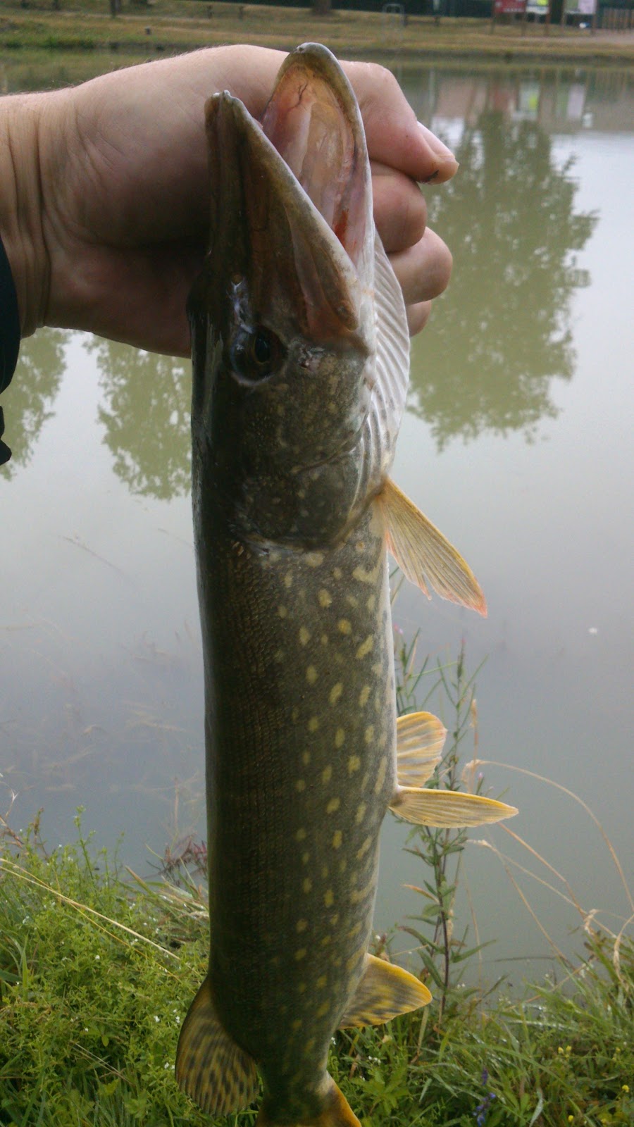 Team Mafia-Fishing: Journée maussade.