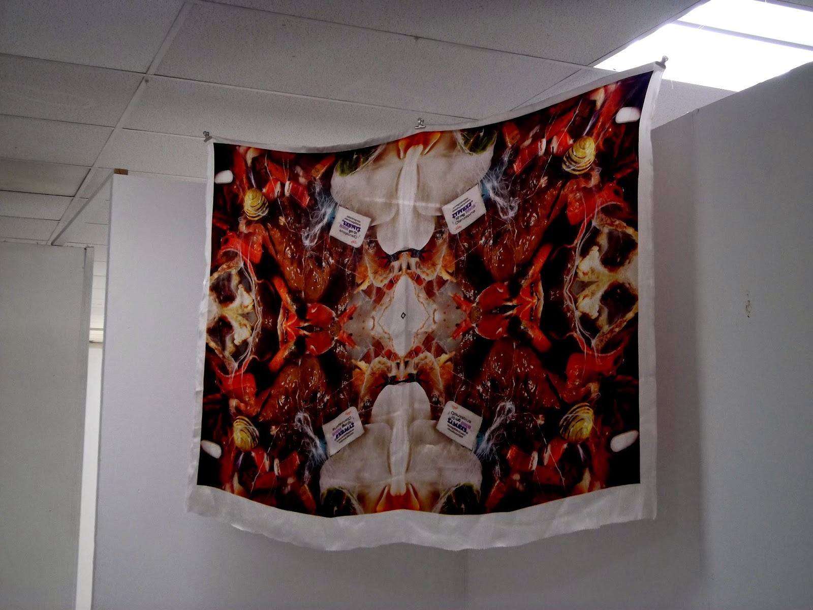 Major Study: Hanging Experiments