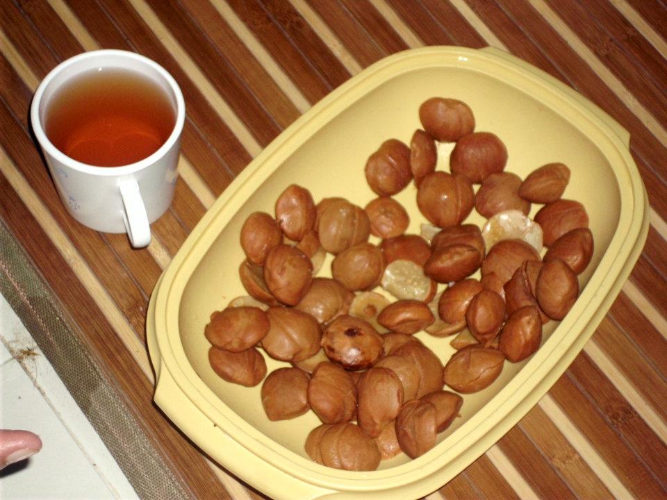 DCC-DUNGUN CHOPPER CLUB: DCC ,JERING REBUS KELAPA PARUT BERGULA..