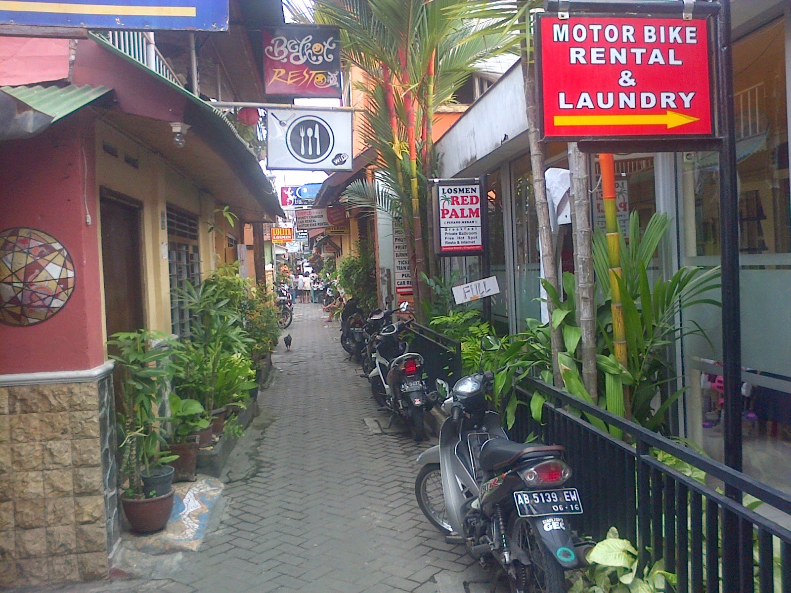 LOSMEN/PENGINAPAN MURAH DI JOGJA | LOSMEN/HOMESTAY JOGJA