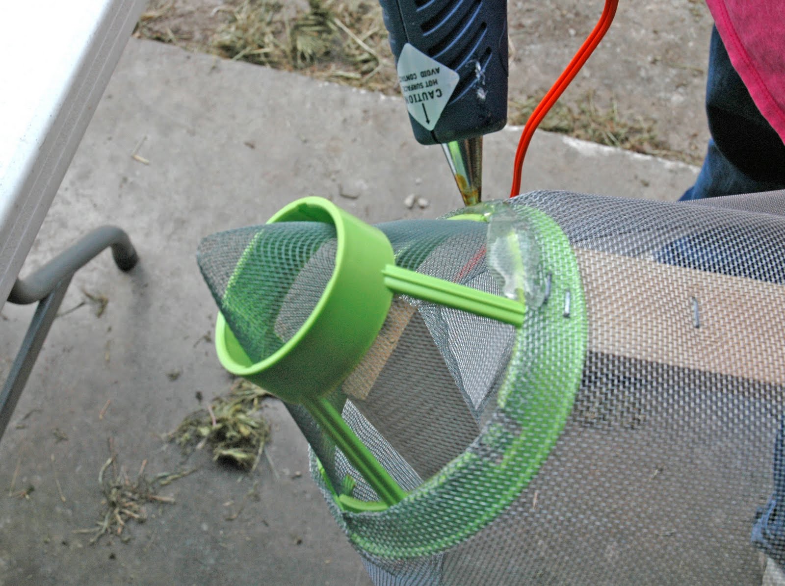 Northern Pecans: Building a pecan weevil trap