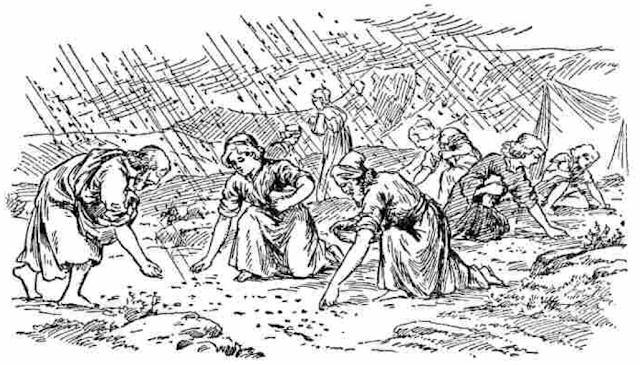 LiturgyTools.net: Pictures for the 18th Sunday of Ordinary Time, Year B