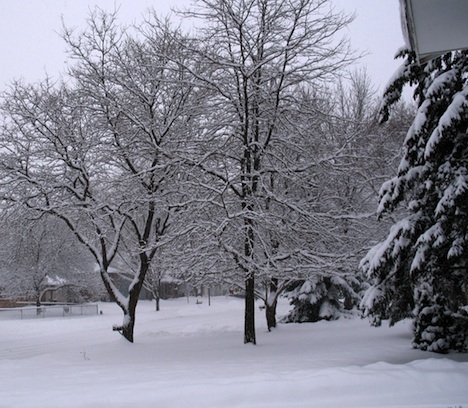 LibbyLeu and Glass Too