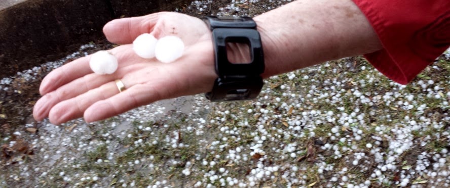 Divinebunbun's Rugged Rural Missouri: April 2014