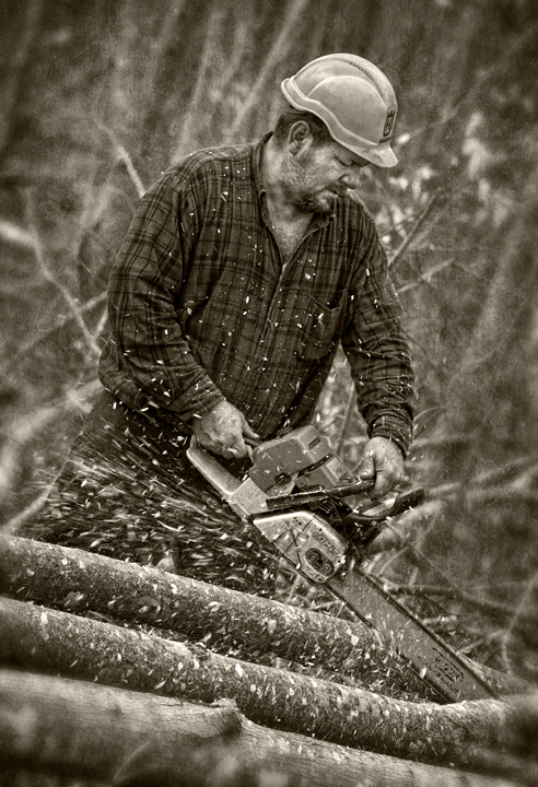Dan Routh Photography: Logger (cont.)