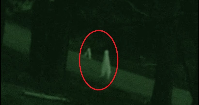 The Fortean Slip: 10 Real Aliens Caught On Tape The Fortean Slip: 10 Real Aliens Caught On Tape