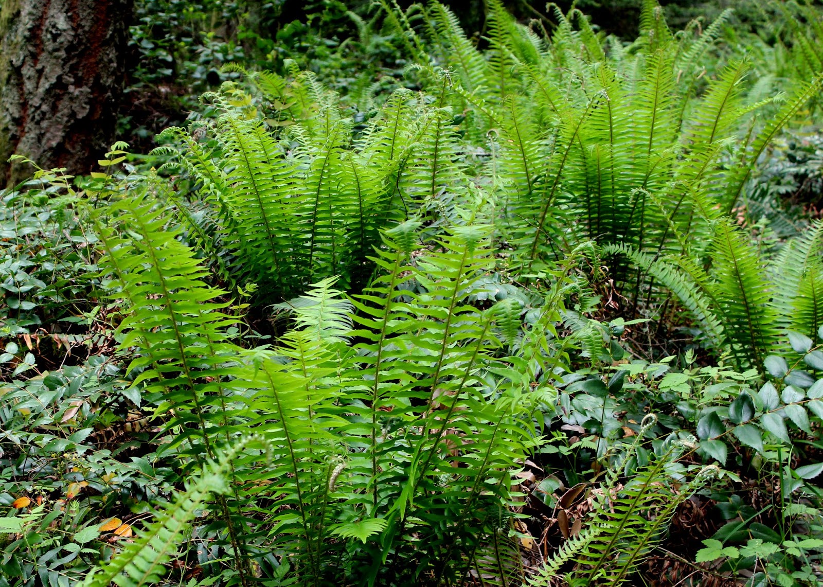 The Murray Chronicles : Hiking through Mt Taum Ecological Reserve