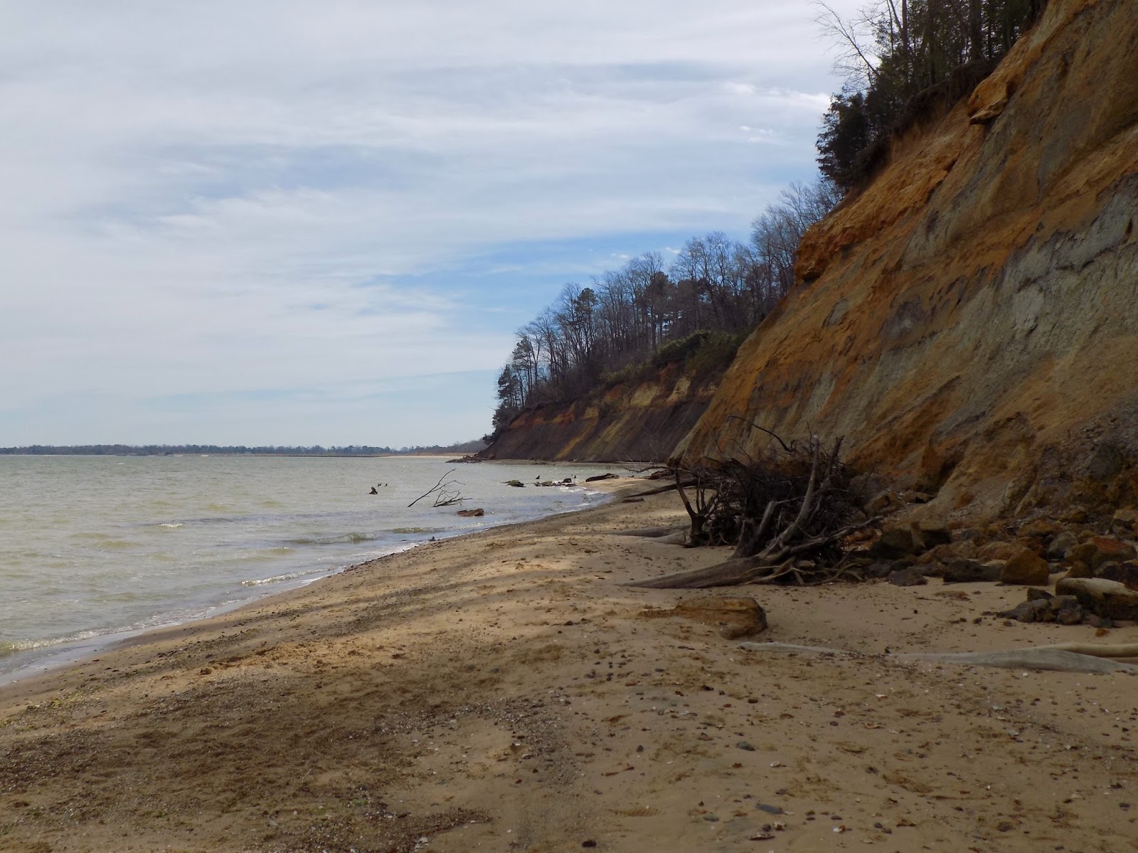 Tales From the Trails: Calvert Cliffs: Chesapeake Bay