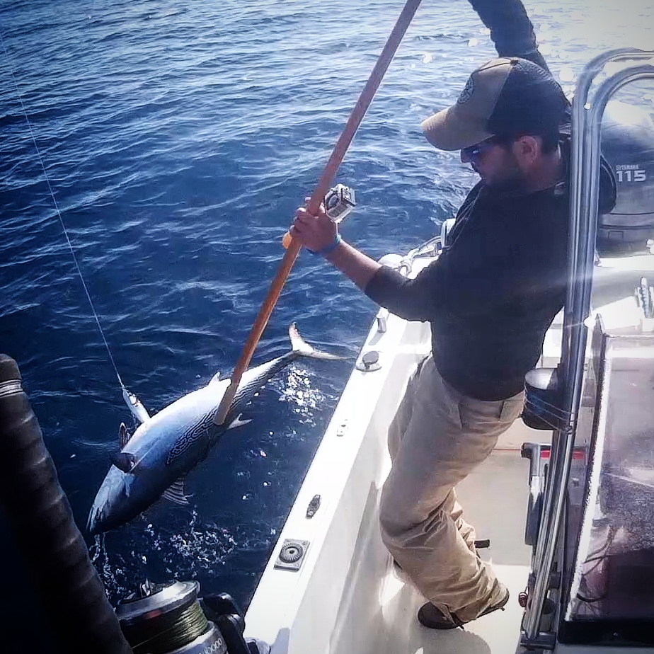 AP Lures: For-tuna Stick 21F slim