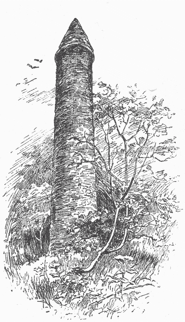 Seven Miles of Steel Thistles: Maid Maleen: a fairytale study of trauma?