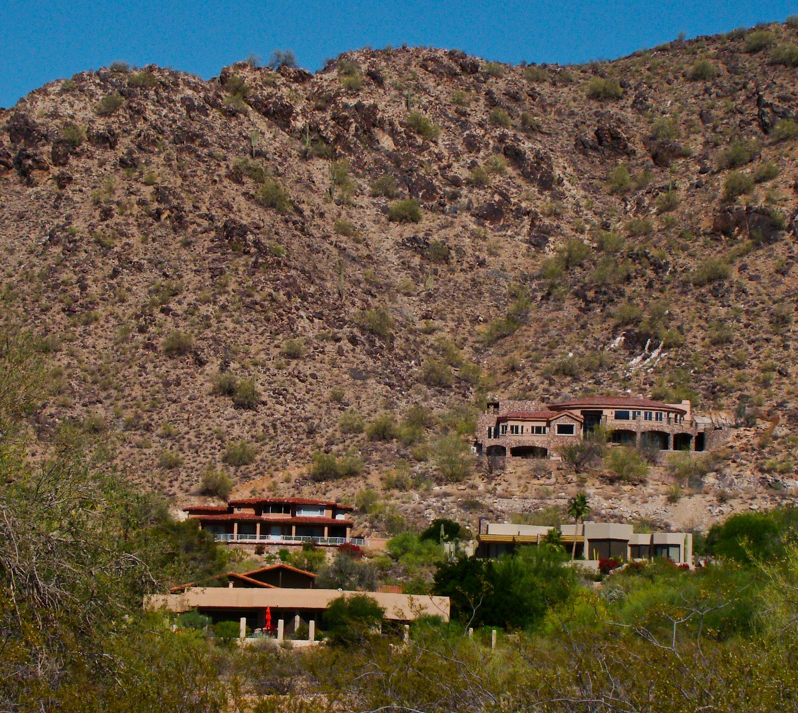 Scottsdale Daily Photo: Photo: Homes Climbing Mummy Mountain