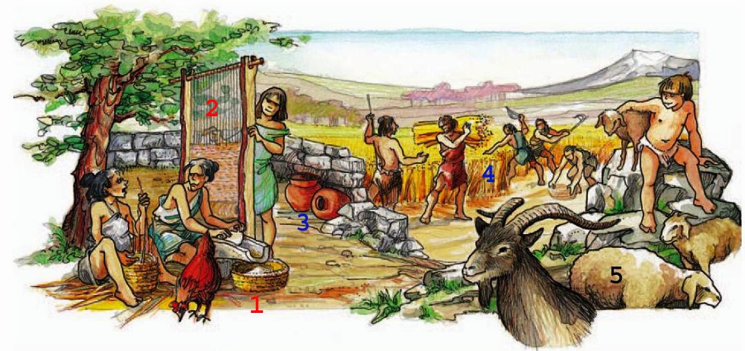 Nota 10 no Vestibular: Período Neolítico